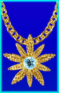 Starfish Sunburst Pendant, Medium, on Cable Chains.